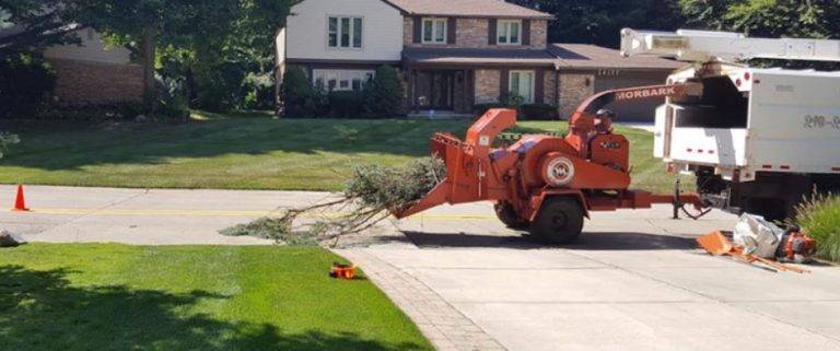 C Green's Tree Service - Tree Trimming in Waterford, MI
